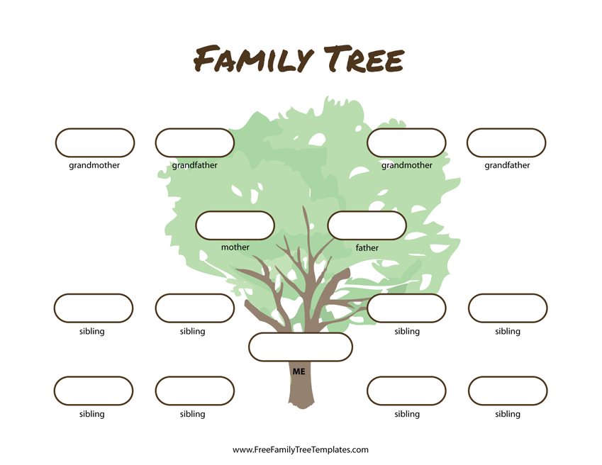 3 Generation Family Tree Many Siblings Template Free Family Tree Templates